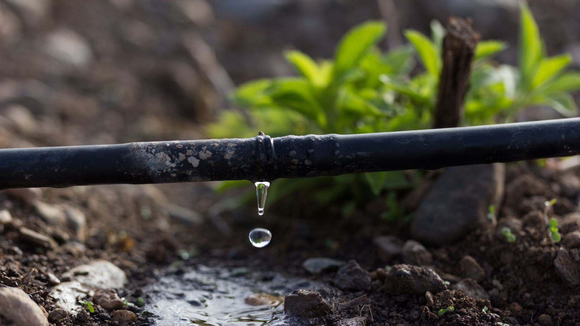 N-drip: Empowering Smallholder Farmers with Gravity Driven Irrigation ...